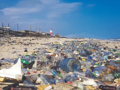 Plastic Oceans International | Inspiring Purpose